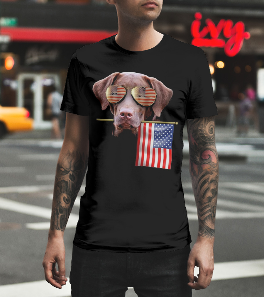 Pitbull Dog With American Flag Sunglasses And Flag T-Shirt