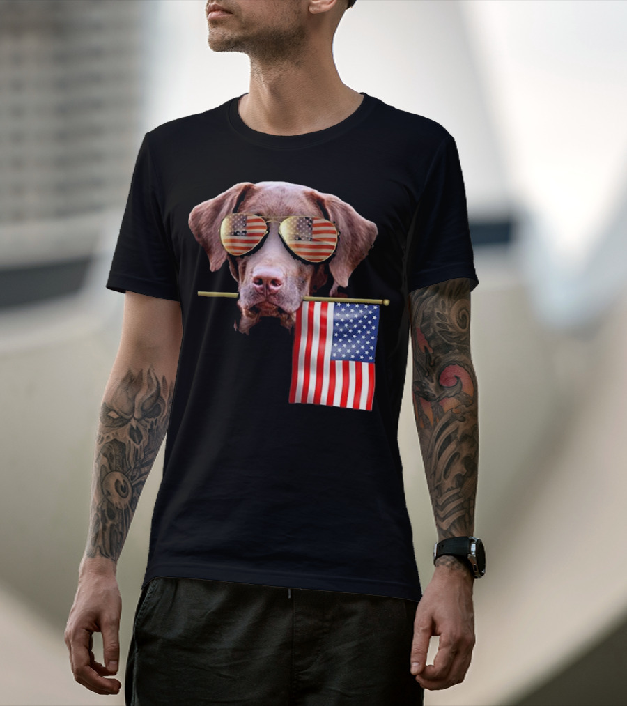Pitbull Dog With American Flag Sunglasses And Flag T-Shirt