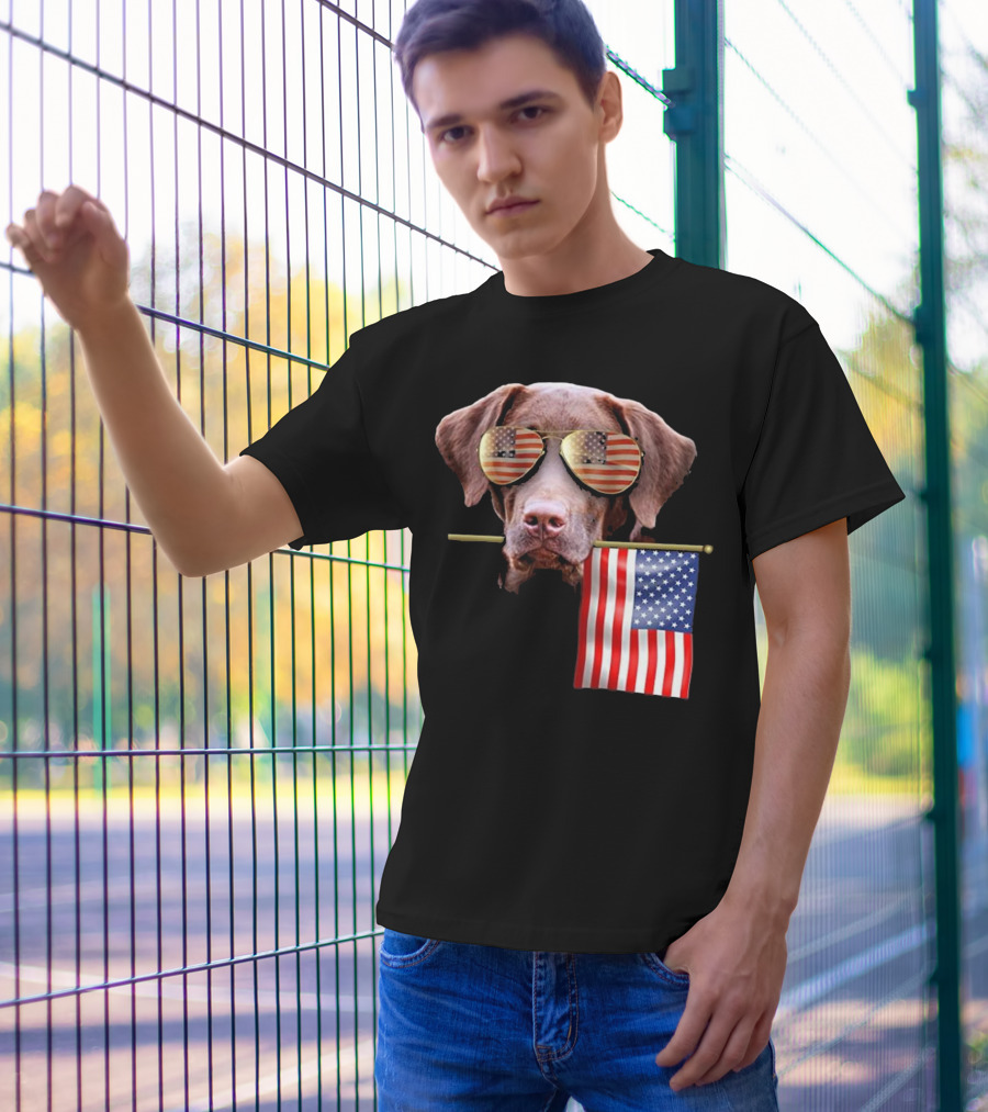 Pitbull Dog With American Flag Sunglasses And Flag T-Shirt
