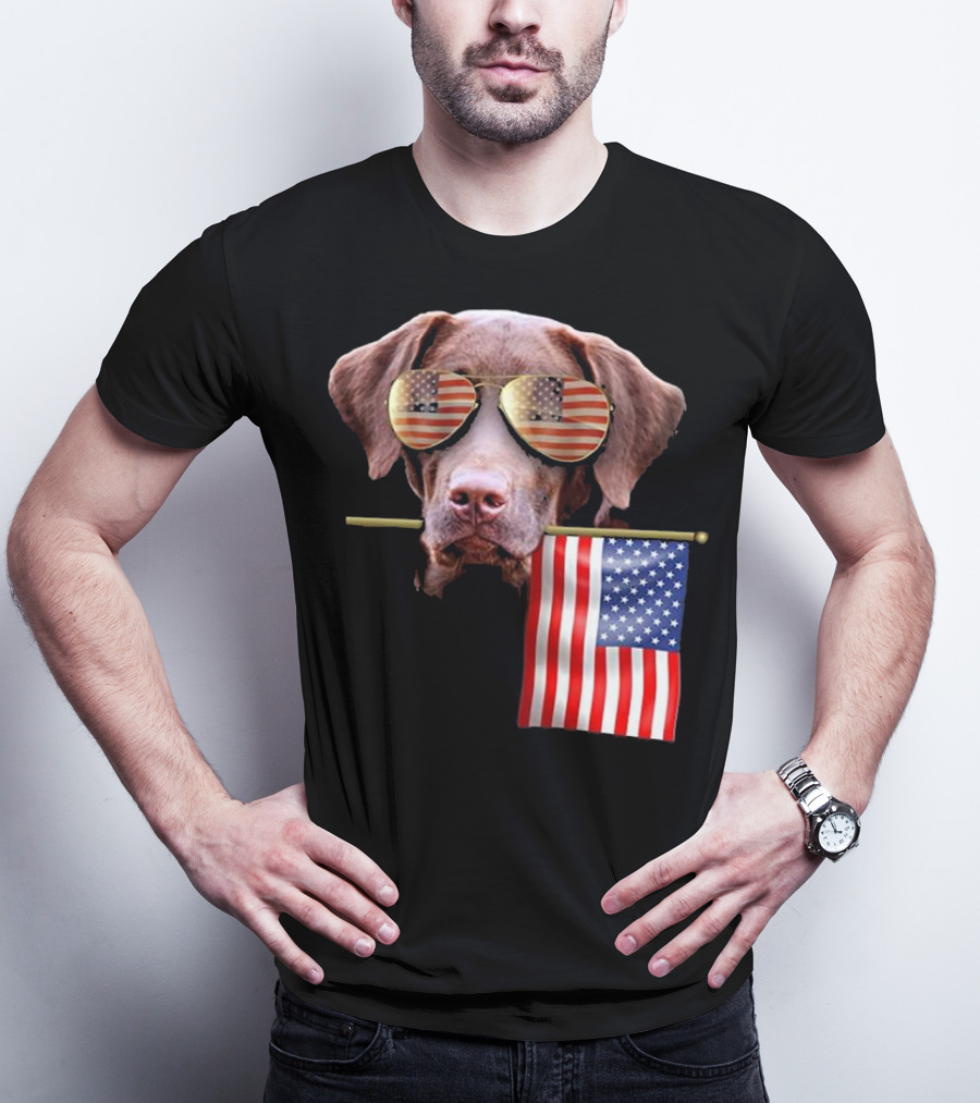 Pitbull Dog With American Flag Sunglasses And Flag T-Shirt