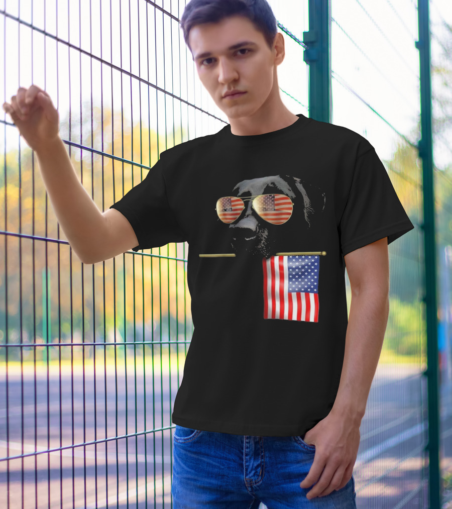 Patriotic Labrador With American Flag Shades Fourth Of July T-Shirt