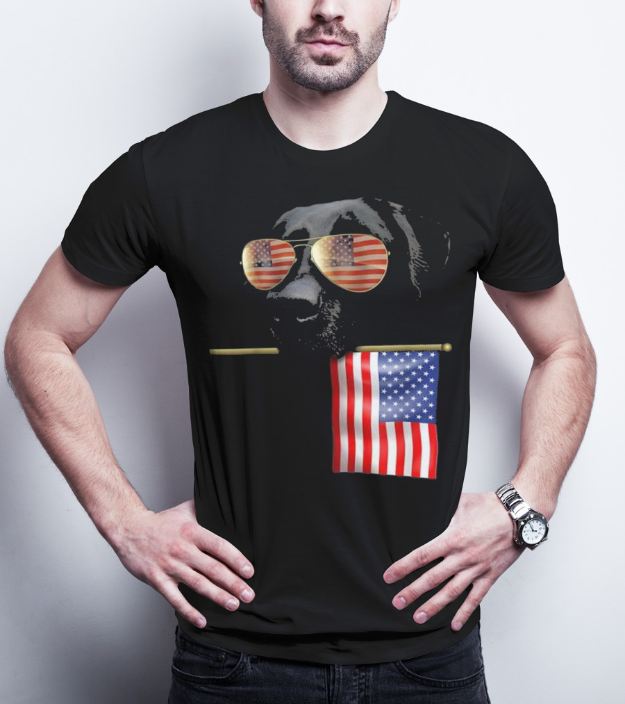 Patriotic Labrador With American Flag Shades Fourth Of July T-Shirt