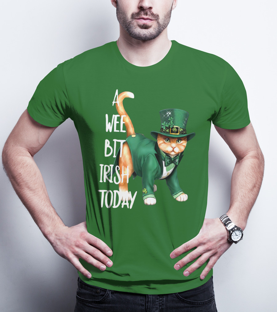 A Wee Bit Irish Today Cat In Green Suit And Leprechaun Hat T-Shirt