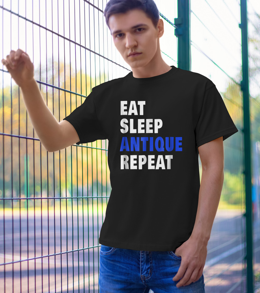 Eat Sleep Antique Repeat Antiquing Fan T-Shirt
