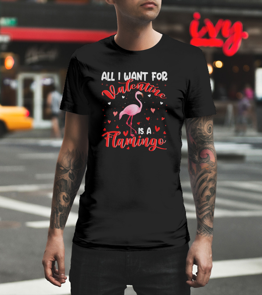 All I Want For Valentine Is A Flamingo T-Shirt