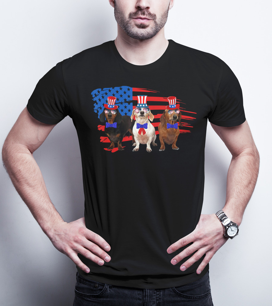 American Patriotic Dachshund Lover July Independence Day Trio T-Shirt