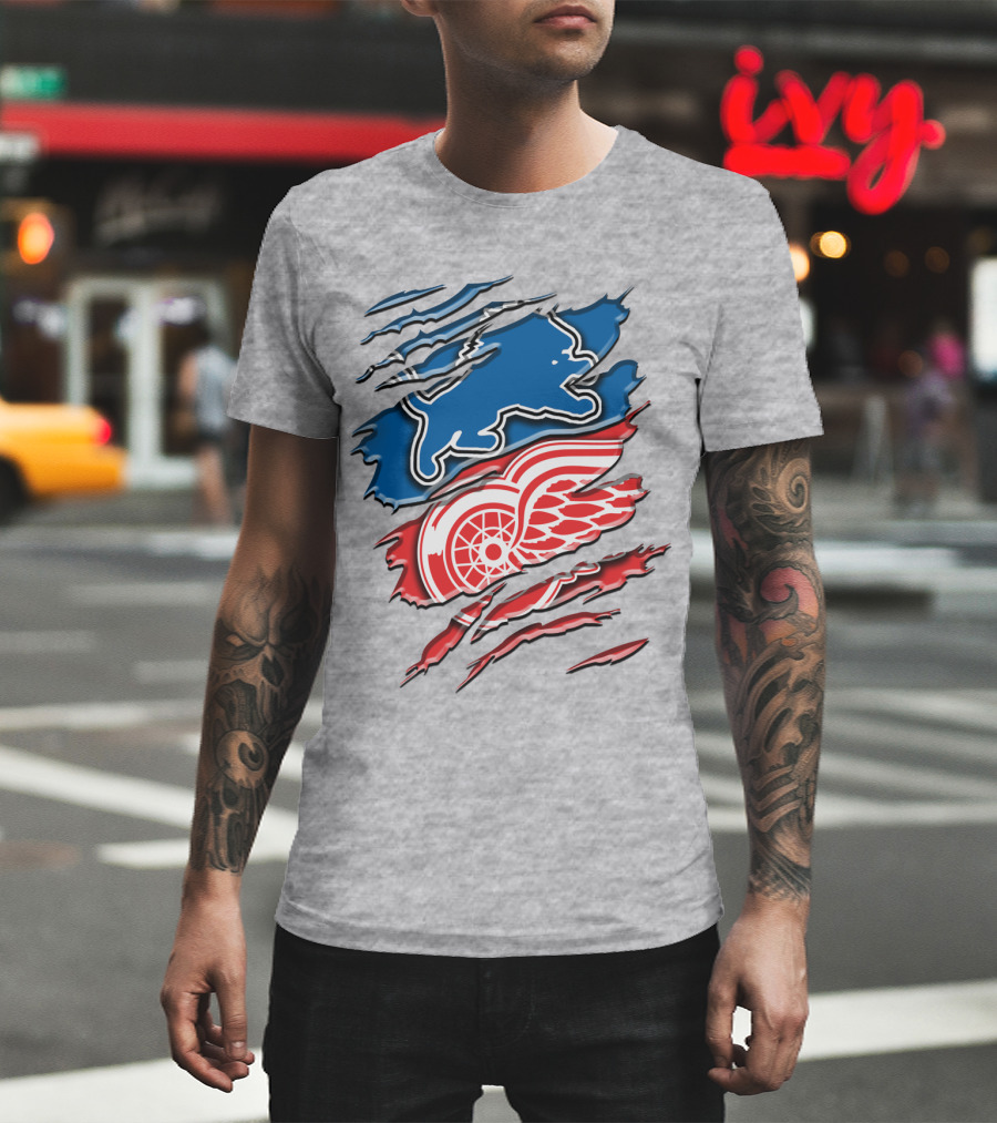 Detroit Red Wings Buffalo Sabres Vintage Mashup T-Shirt