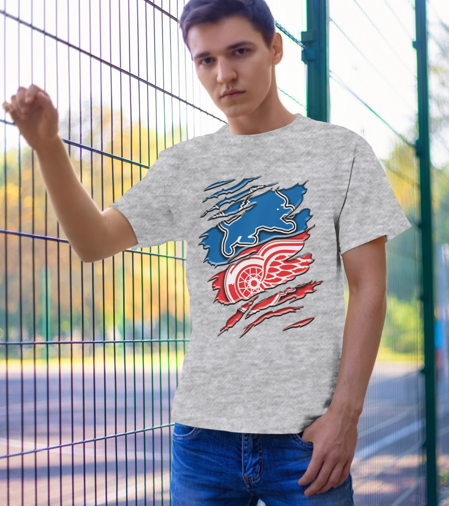 Detroit Red Wings Buffalo Sabres Vintage Mashup T-Shirt
