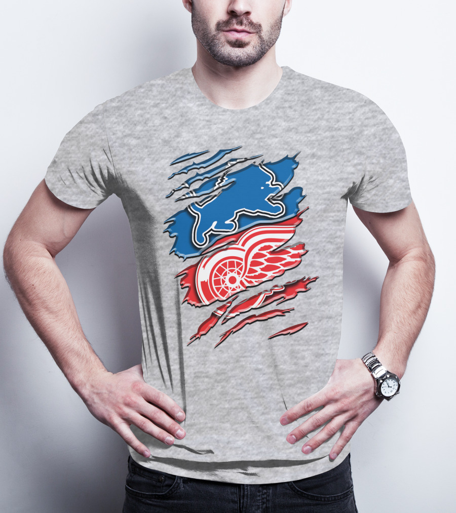 Detroit Red Wings Buffalo Sabres Vintage Mashup T-Shirt