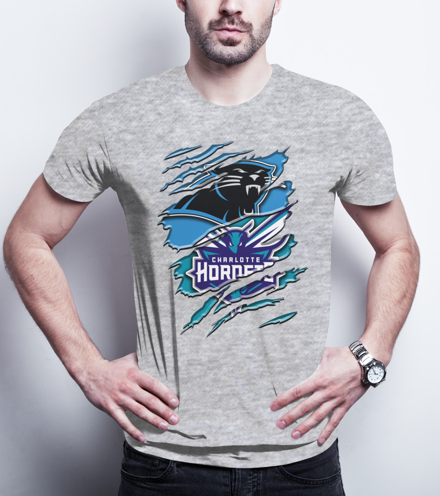 Panther And Charlotte Hornets Logo Rah T-Shirt