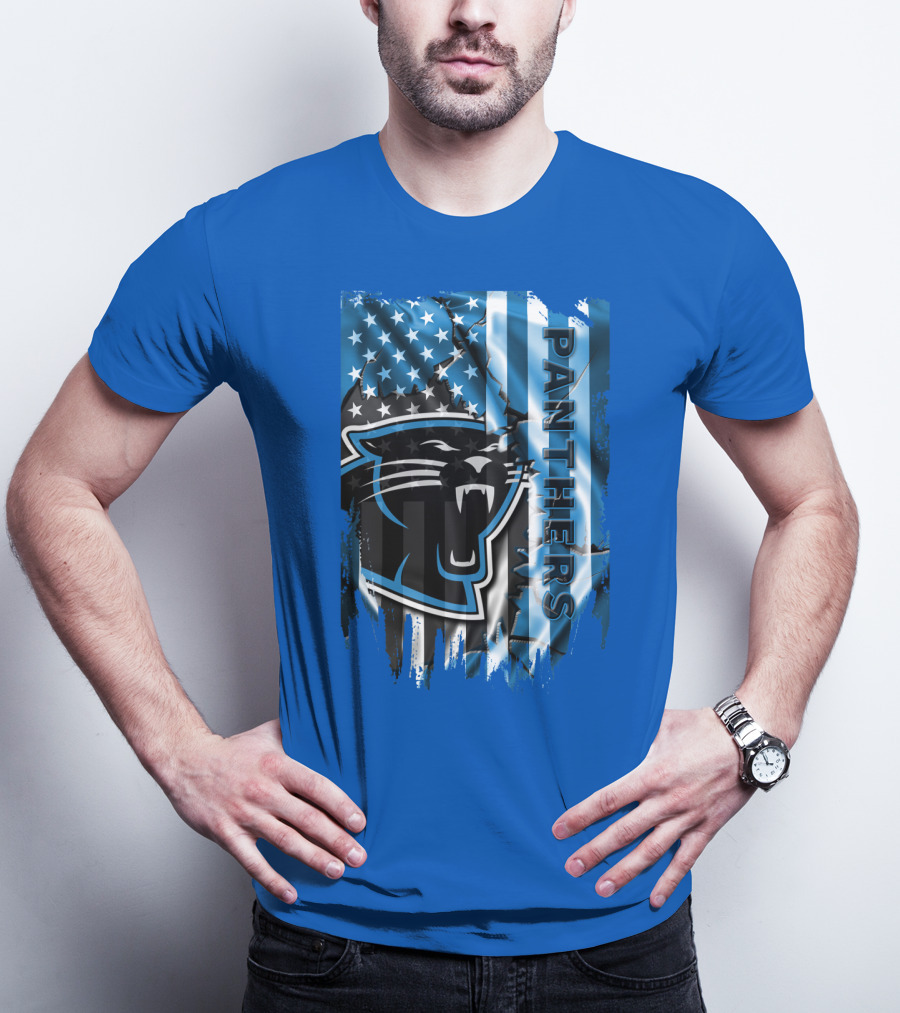 Panthers American Flag Stars And Stripes T-Shirt