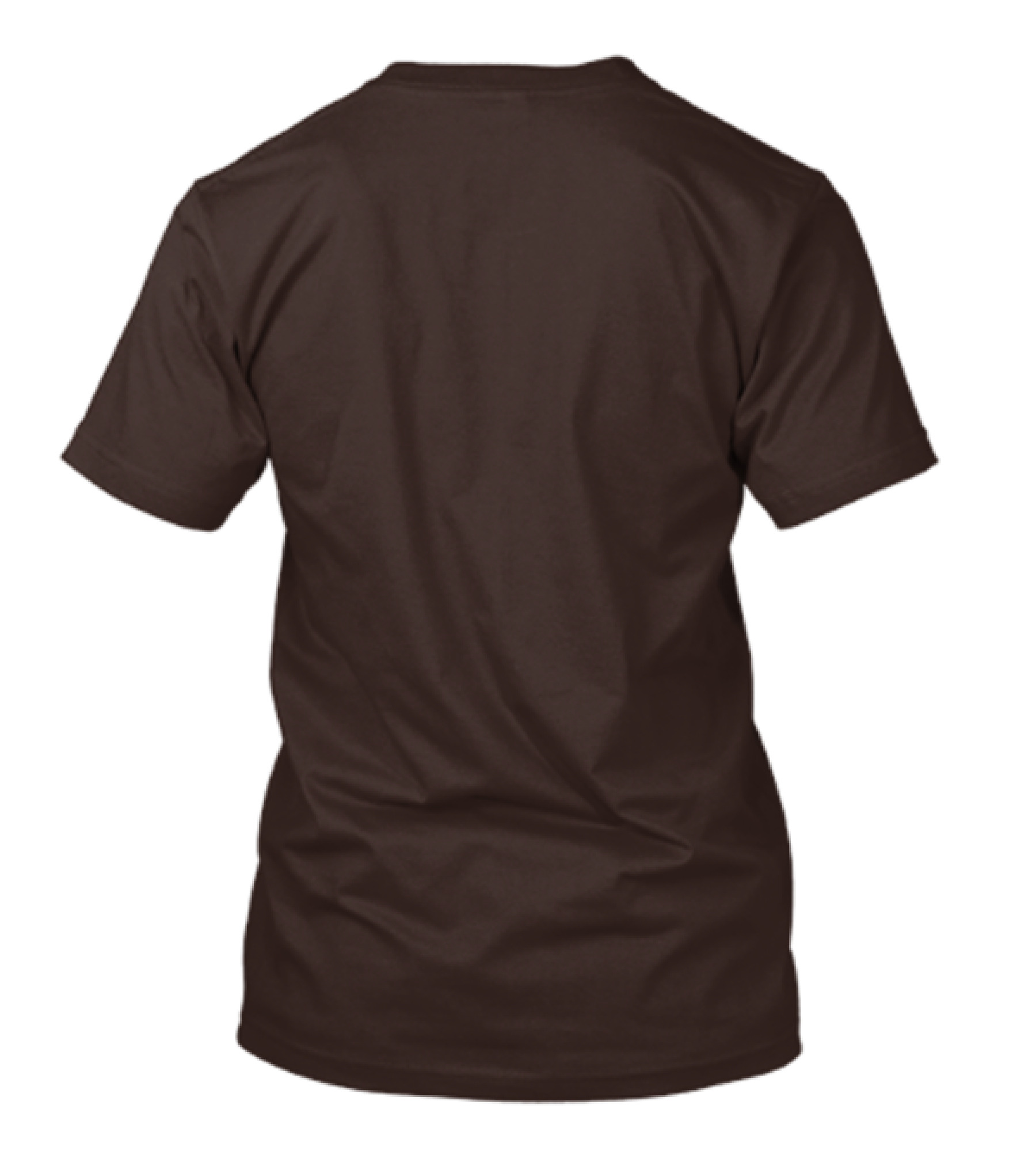 Bee Hive Can't Beelieve It's Been 100 Days T-Shirt