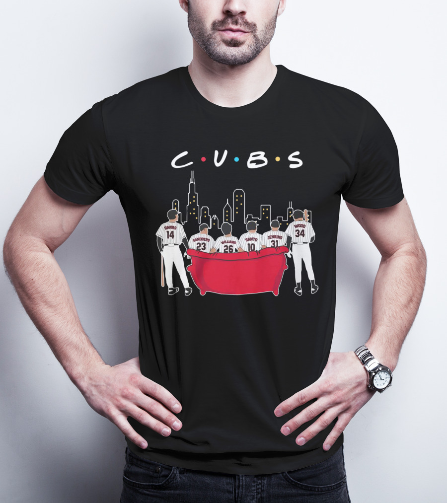 Cubs Friends Chicago Skyline Banks Sandberg Williams Santo Jenkins Wood T-Shirt