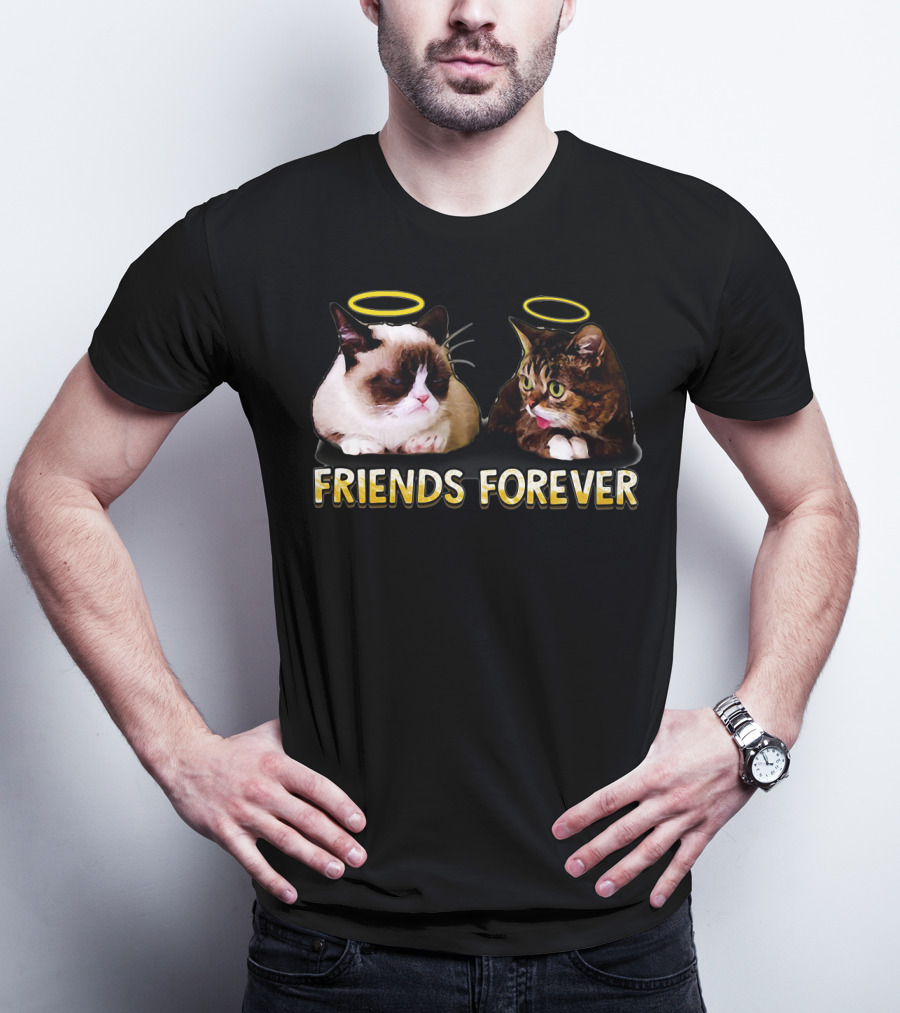 Grumpy Lil Bub Friends Forever T-Shirt