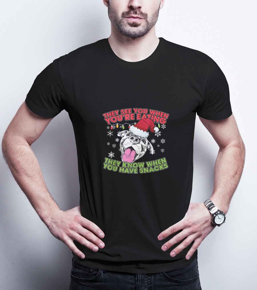Christmas Pitbull Lover They See You When You're Eating Santa Hat Snowflakes T-Shirt