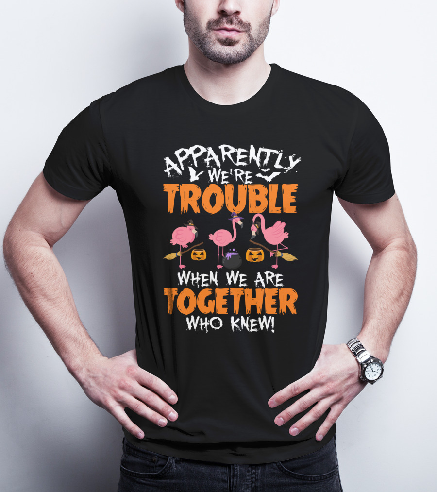 Apparently We're Trouble When We Are Together Who Knew Halloween Flamingo Witches With Bats And Pumpkins T-Shirt