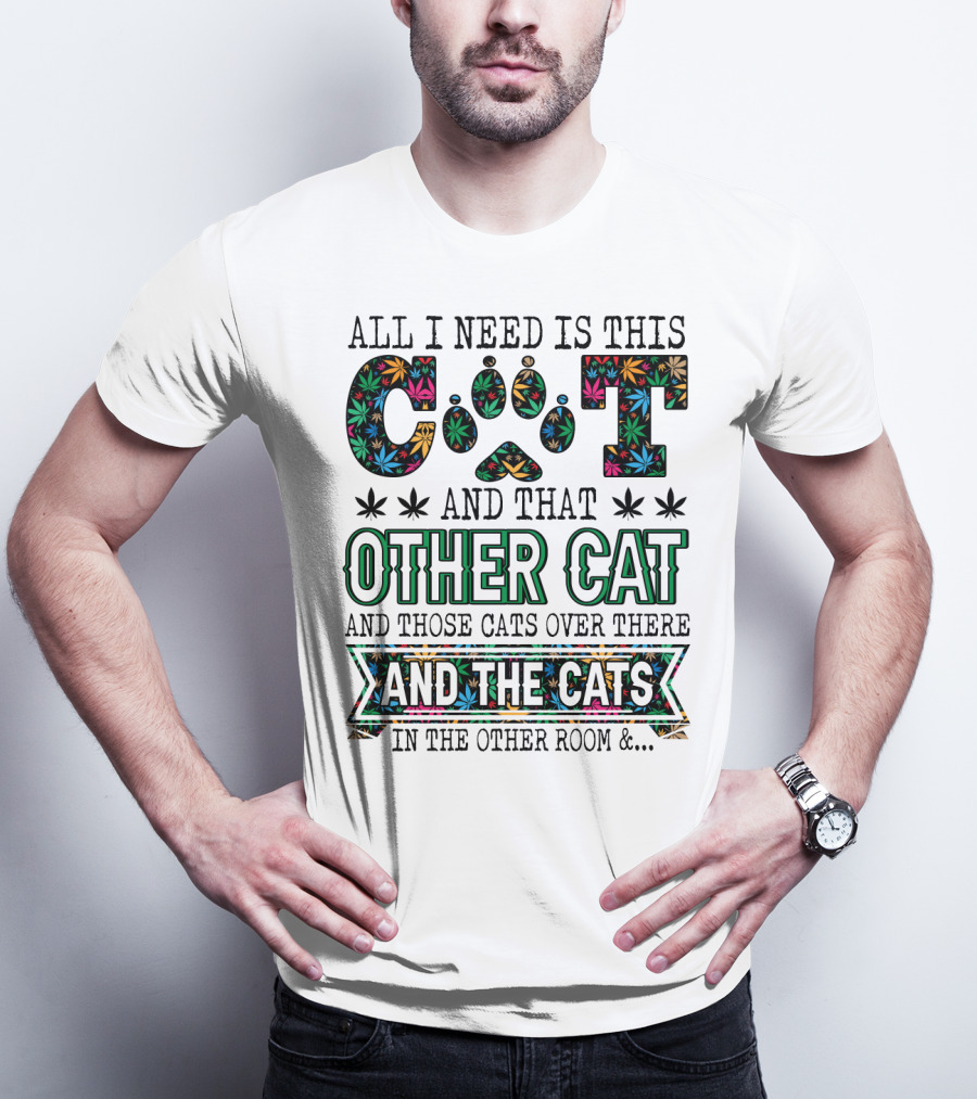 All I Need Is This Cat And That Other Cat And Those Cats Over There And The Cats In The Other Room T-Shirt