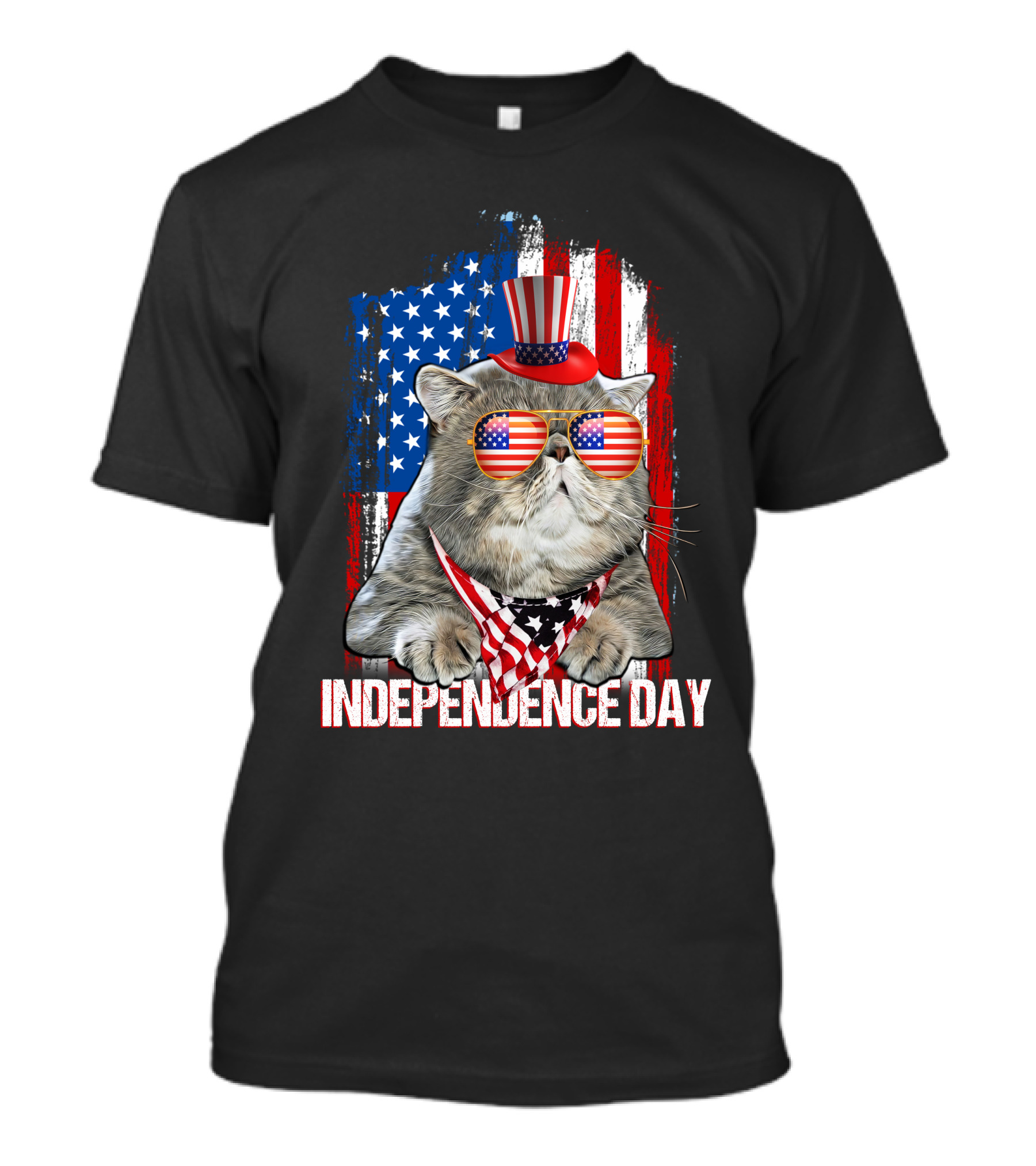Independence Day Cat With American Flag Glasses And Top Hat T-Shirt