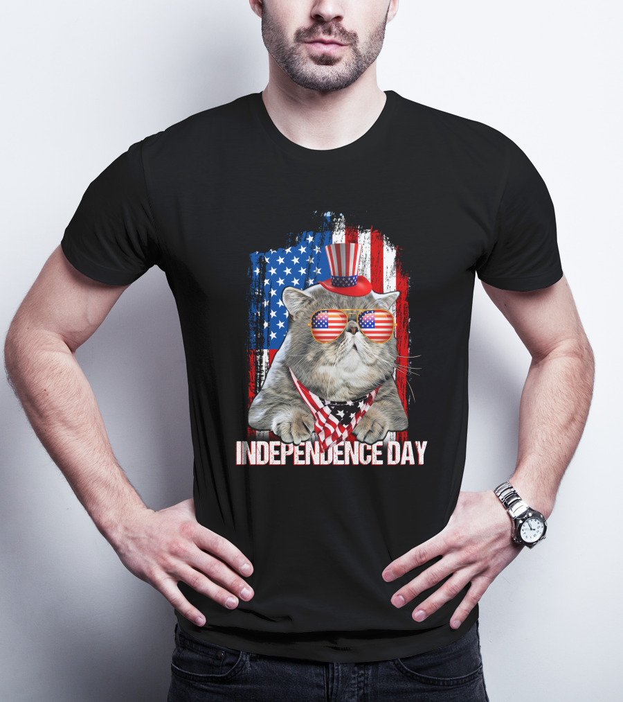 Independence Day Cat With American Flag Glasses And Top Hat T-Shirt