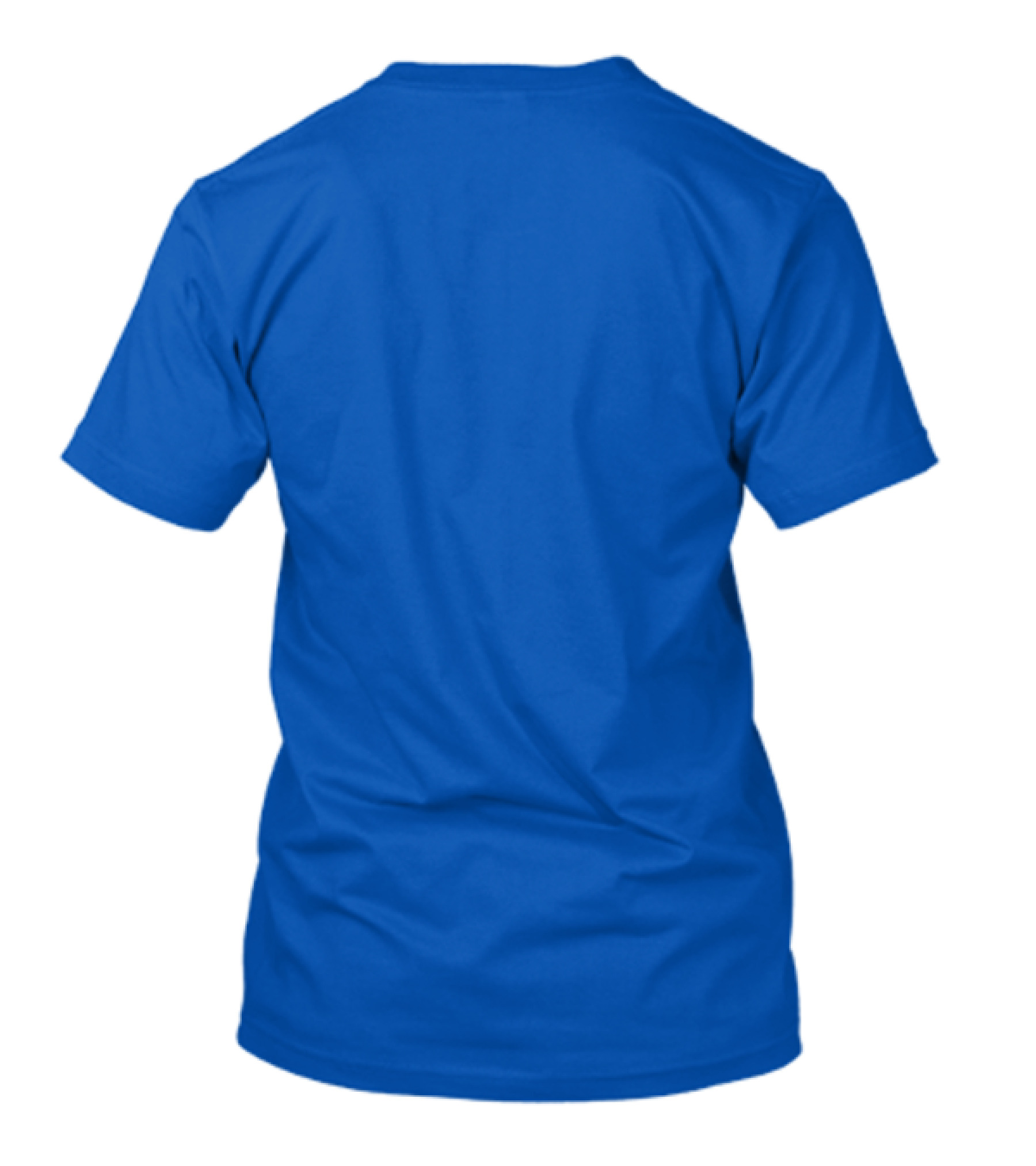 PROFESSIONAL BASEBALL SPECTATOR T-Shirt