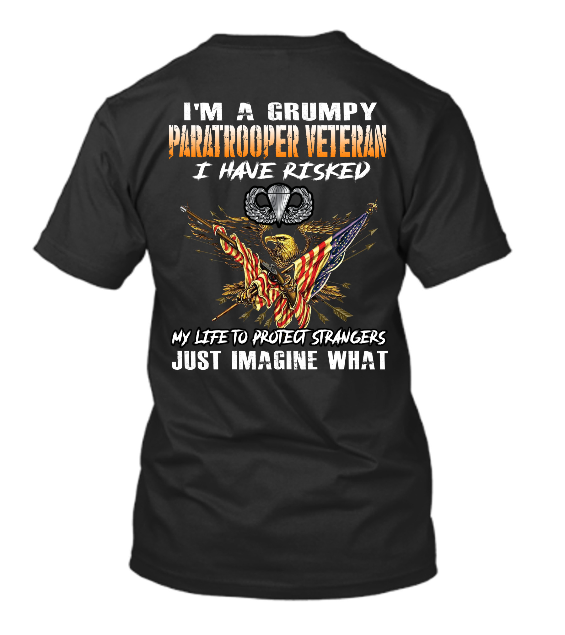I'm A Grumpy Paratrooper Veteran I Have Risked My Life To Protect Strangers Just Imagine What T-Shirt