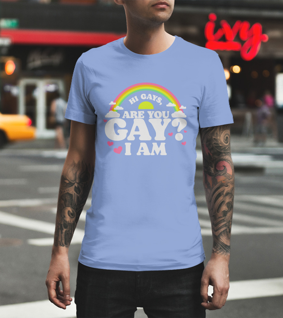 Chrissy Chlapecka Merch Hi Gays Are You Gay I Am With Rainbow And Hearts T-Shirt