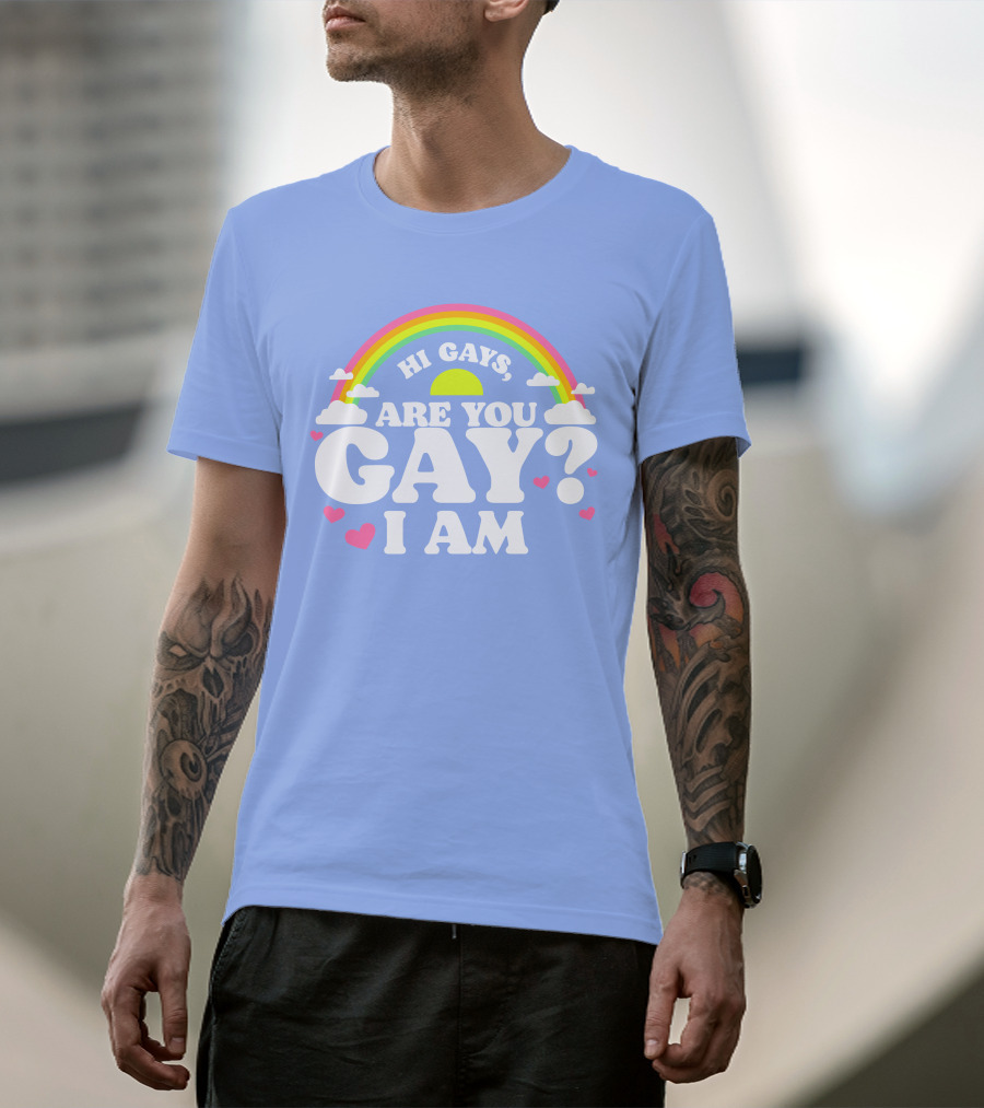 Chrissy Chlapecka Merch Hi Gays Are You Gay I Am With Rainbow And Hearts T-Shirt