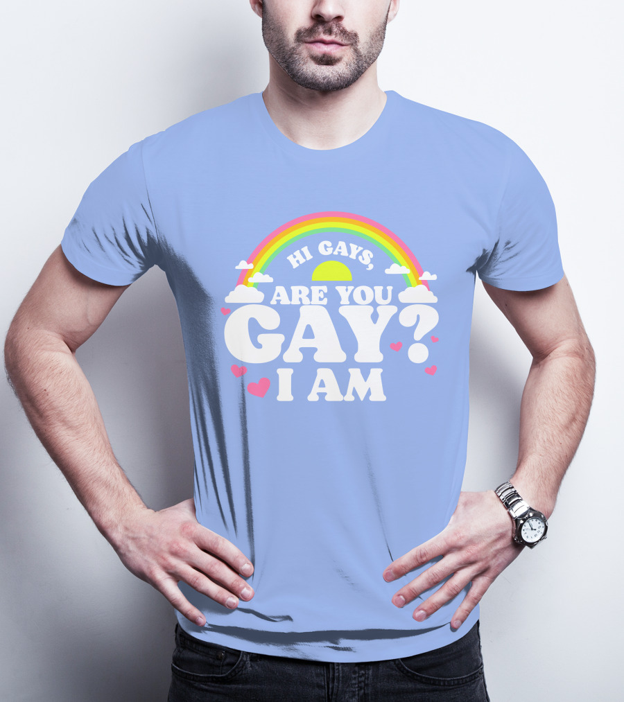Chrissy Chlapecka Merch Hi Gays Are You Gay I Am With Rainbow And Hearts T-Shirt