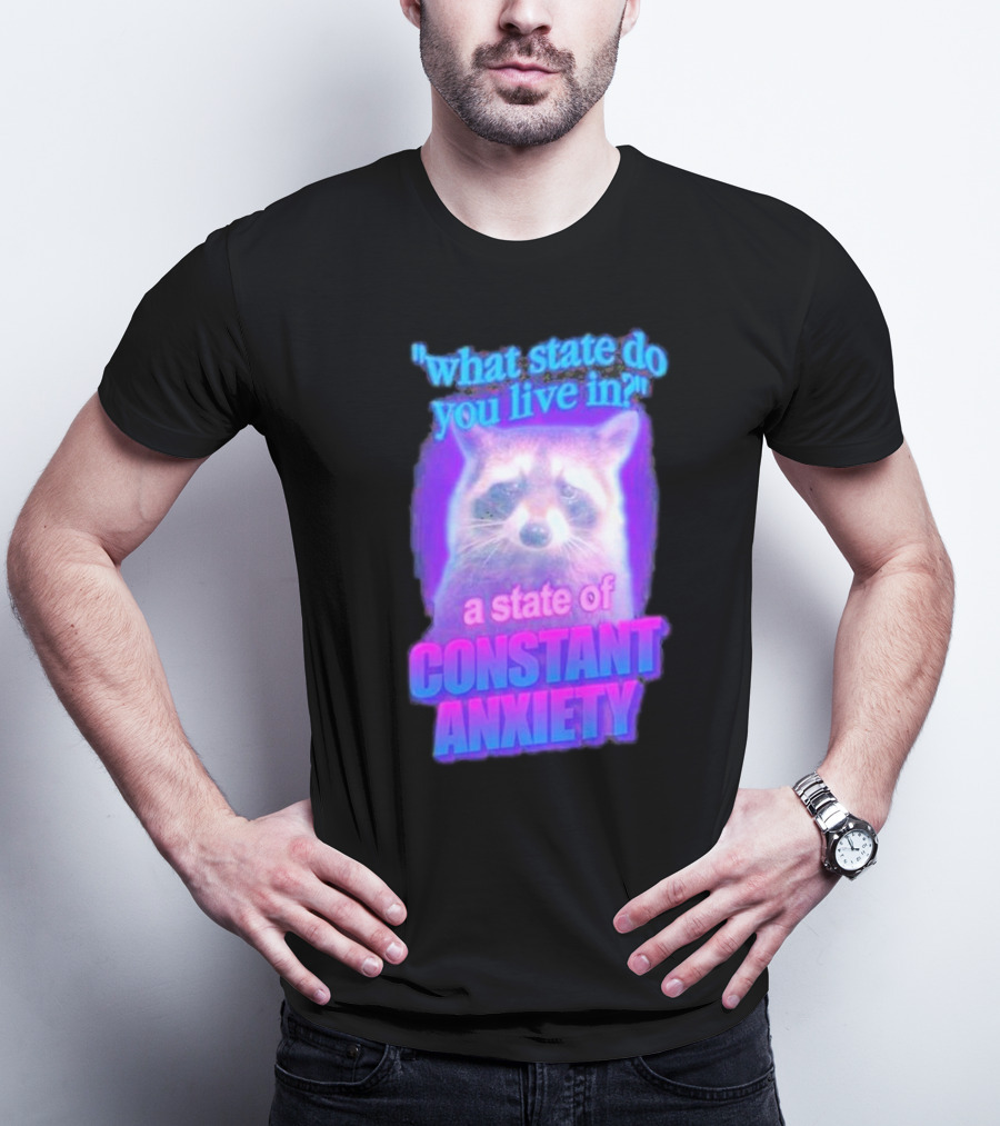 Raccoon In A State Of Constant Anxiety Meme T-Shirt