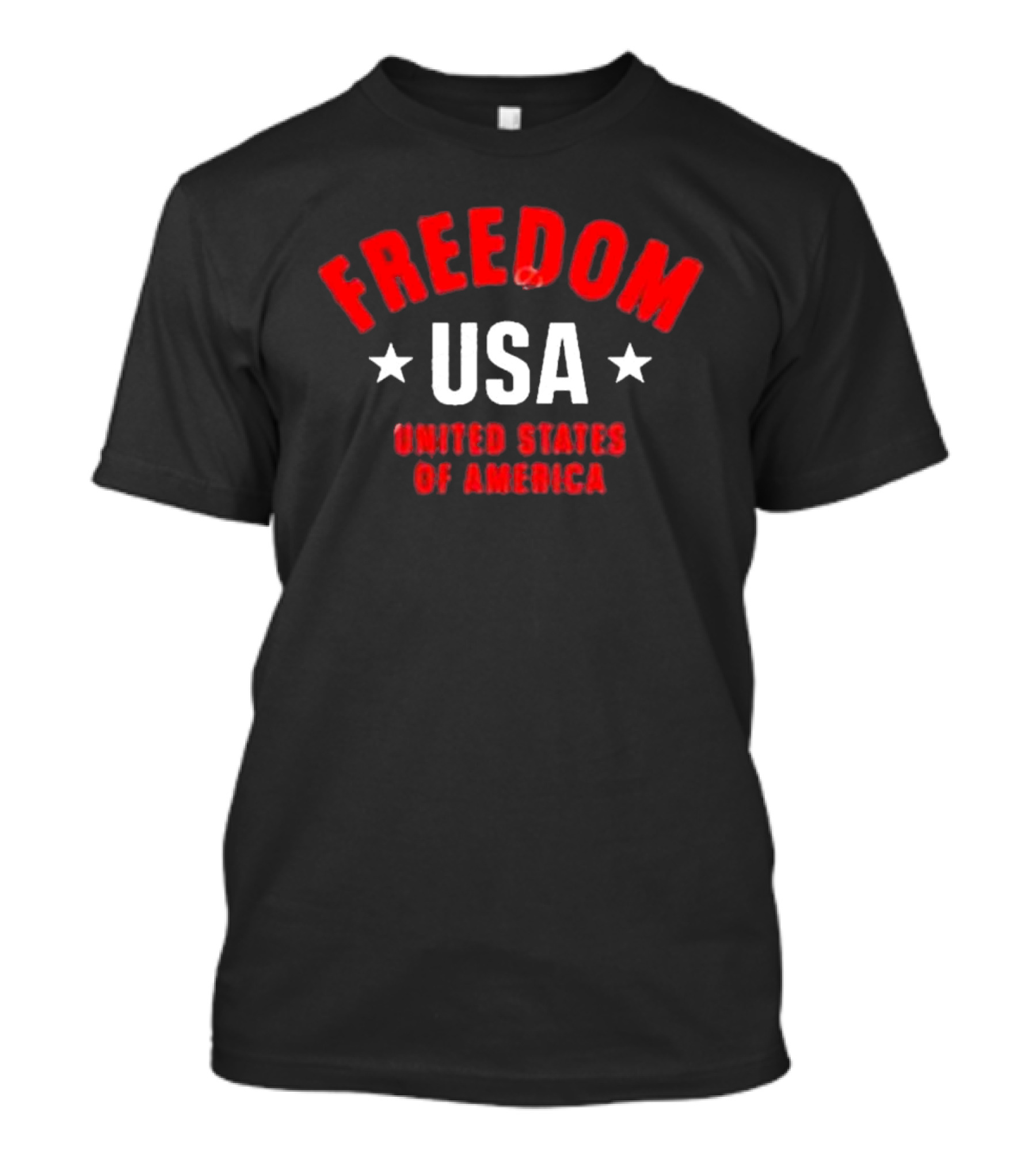 Sgt Troy's Freedom USA United States Of America T-Shirt