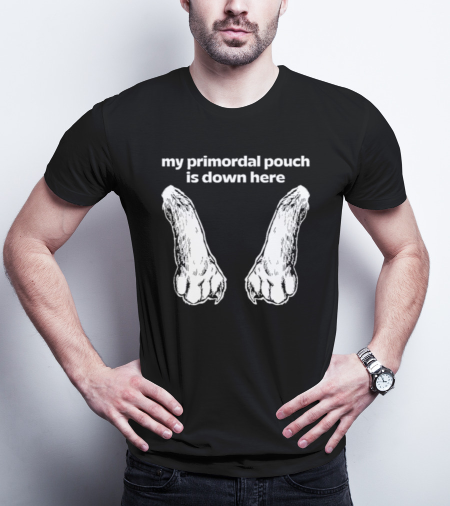 My Primordial Pouch Is Down Here Funny Cat Lover Graphic By Mango Island T-Shirt