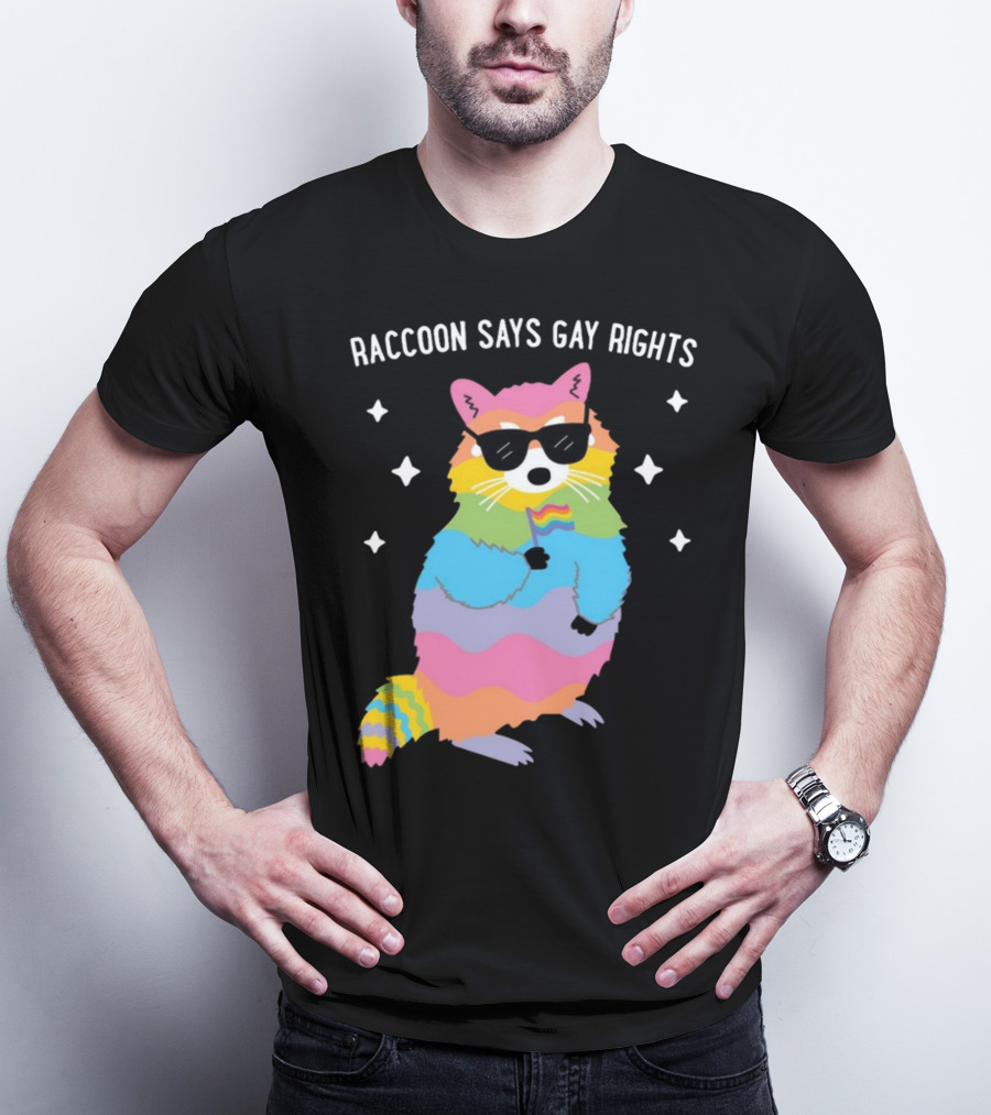 Raccoon Says Gay Rights Pride Rainbow Sunglasses Flag T-Shirt