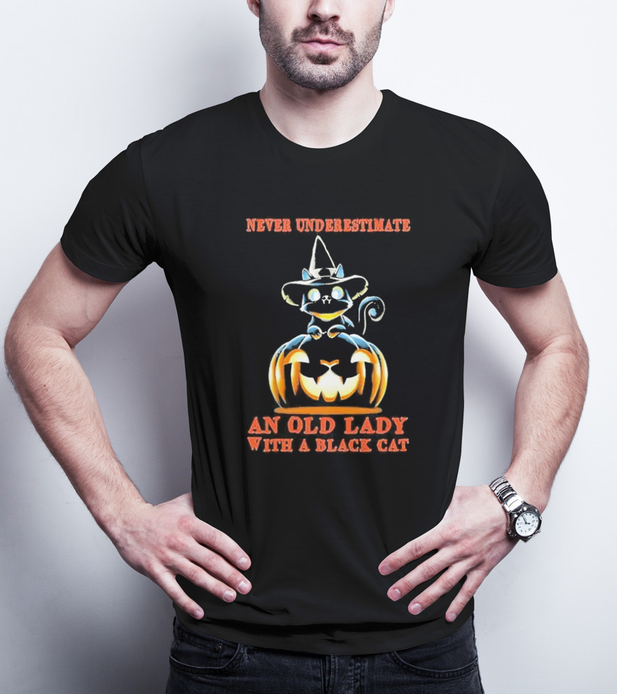 Never Underestimate An Old Lady With A Black Cat Halloween Pumpkin Witch Hat T-Shirt