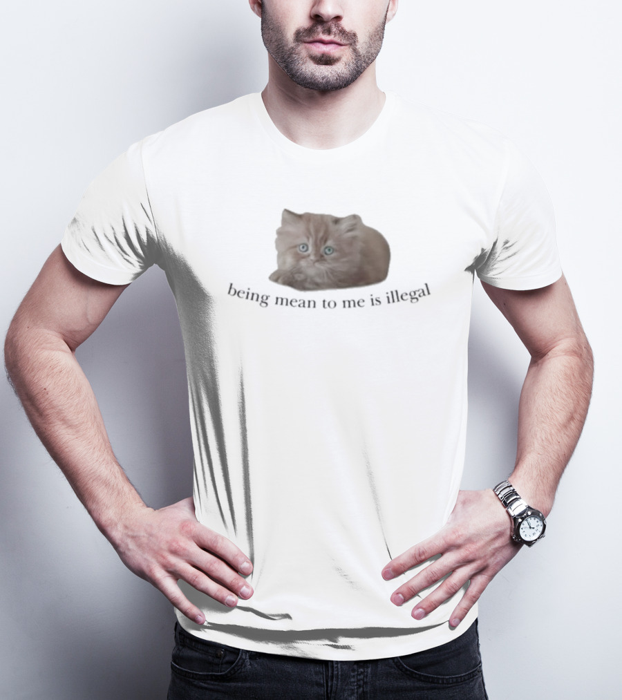 Being Mean To Me Is Illegal Cute Orange Cat T-Shirt