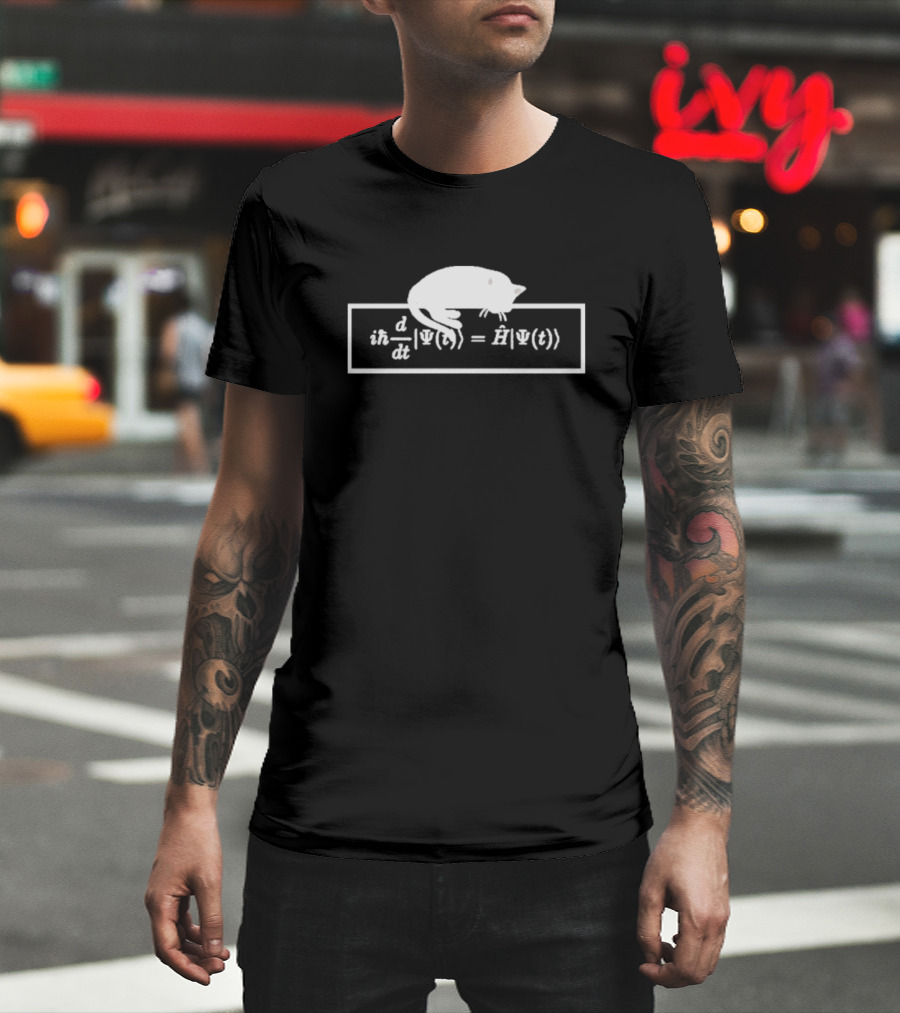 Schrodinger Equation Cat Quantum Physics Humor Psi Function T-Shirt