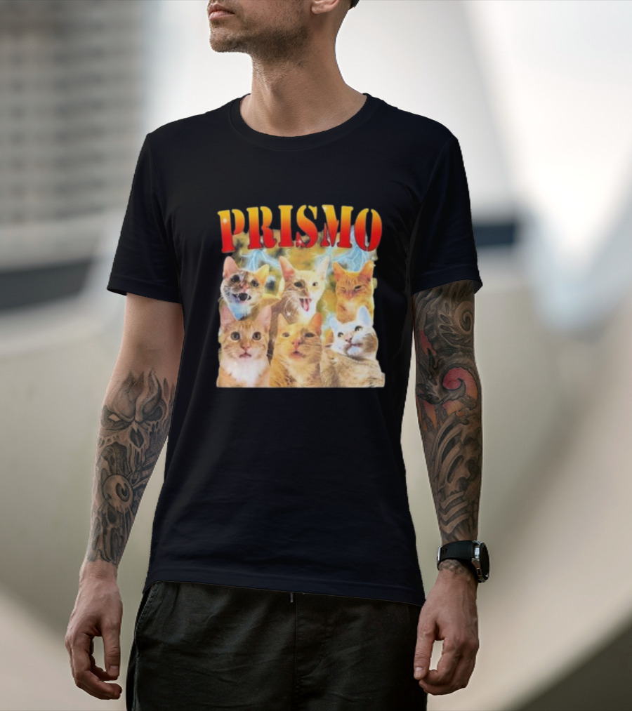 Prismo Cats Colorful Expressions Feline Montage T-Shirt