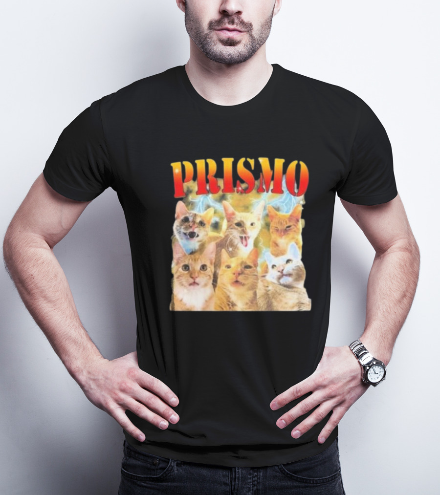 Prismo Cats Colorful Expressions Feline Montage T-Shirt