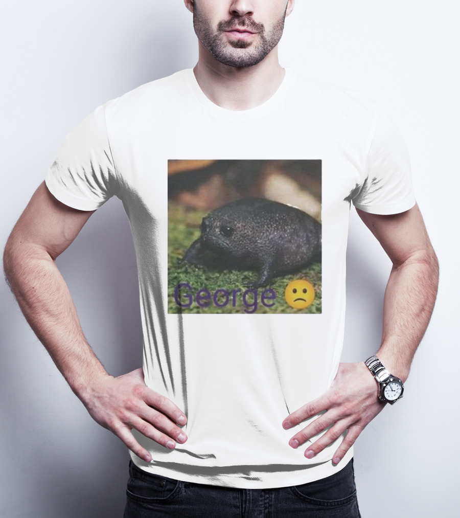 George Sad Frog Meme Inspired Image T-Shirt