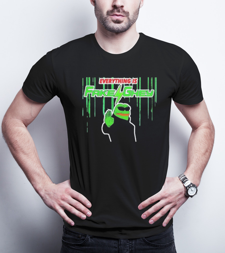 Riseofthenewmedia Everything Is Fake Ghey Pepe Meme T-Shirt