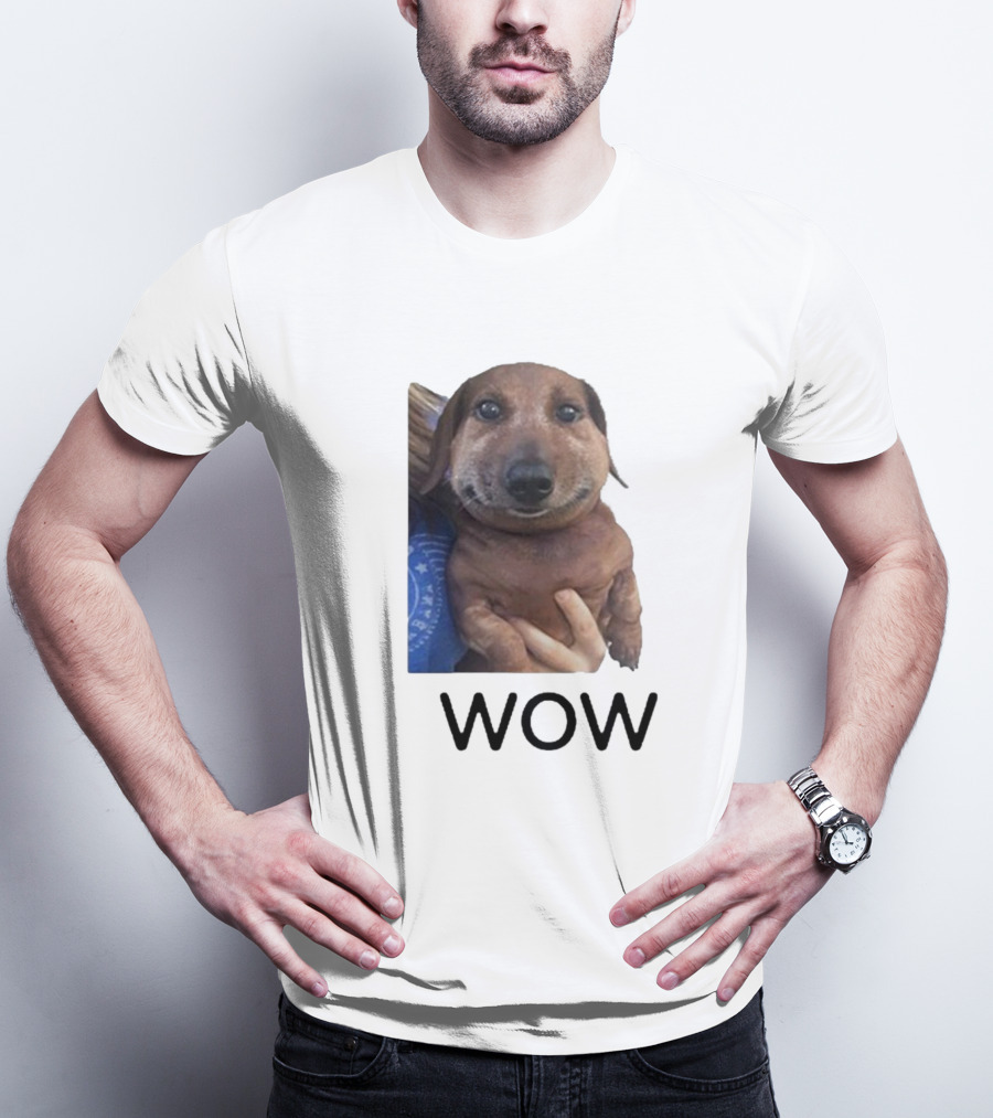 Fallenchungus Wow Dog Meme With Funny Expression T-Shirt