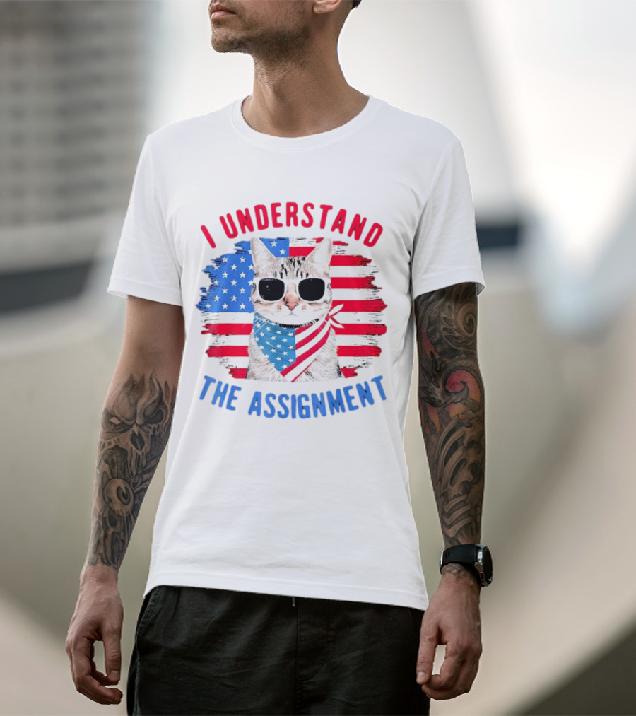 I Understand The Assignment Cat With American Flag Sunglasses And Scarf T-Shirt