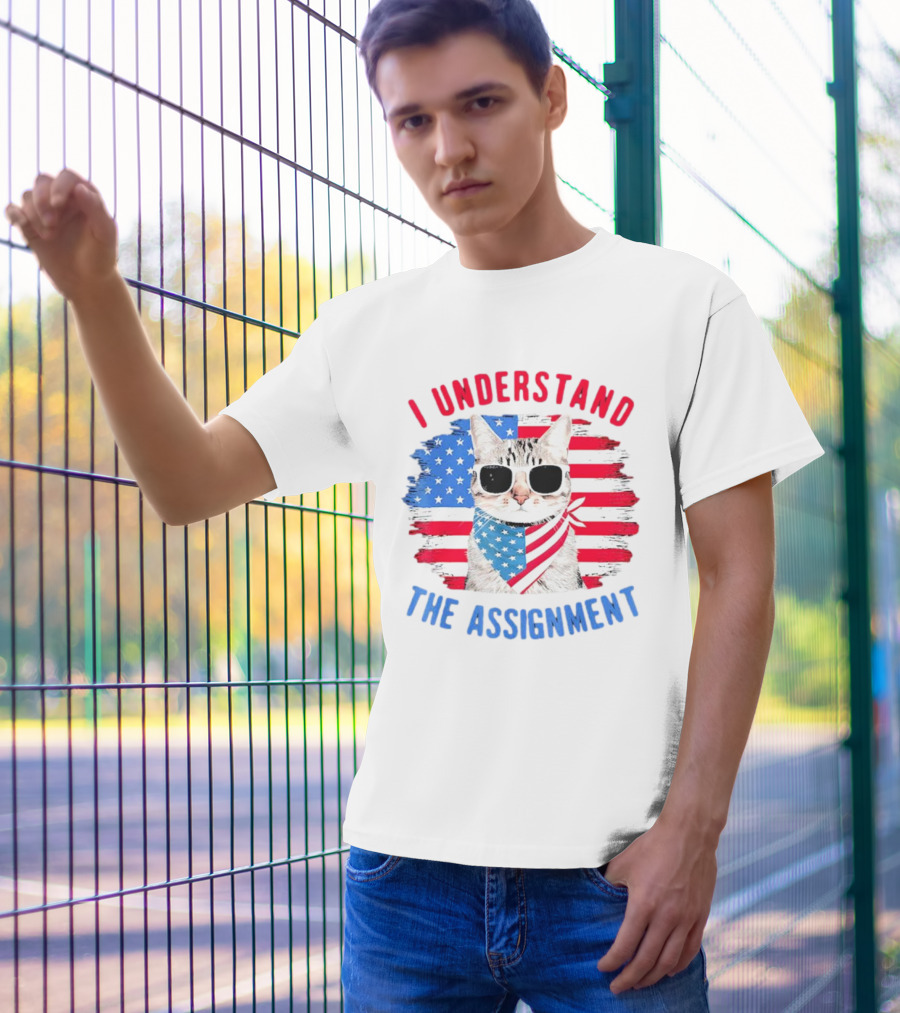 I Understand The Assignment Cat With American Flag Sunglasses And Scarf T-Shirt