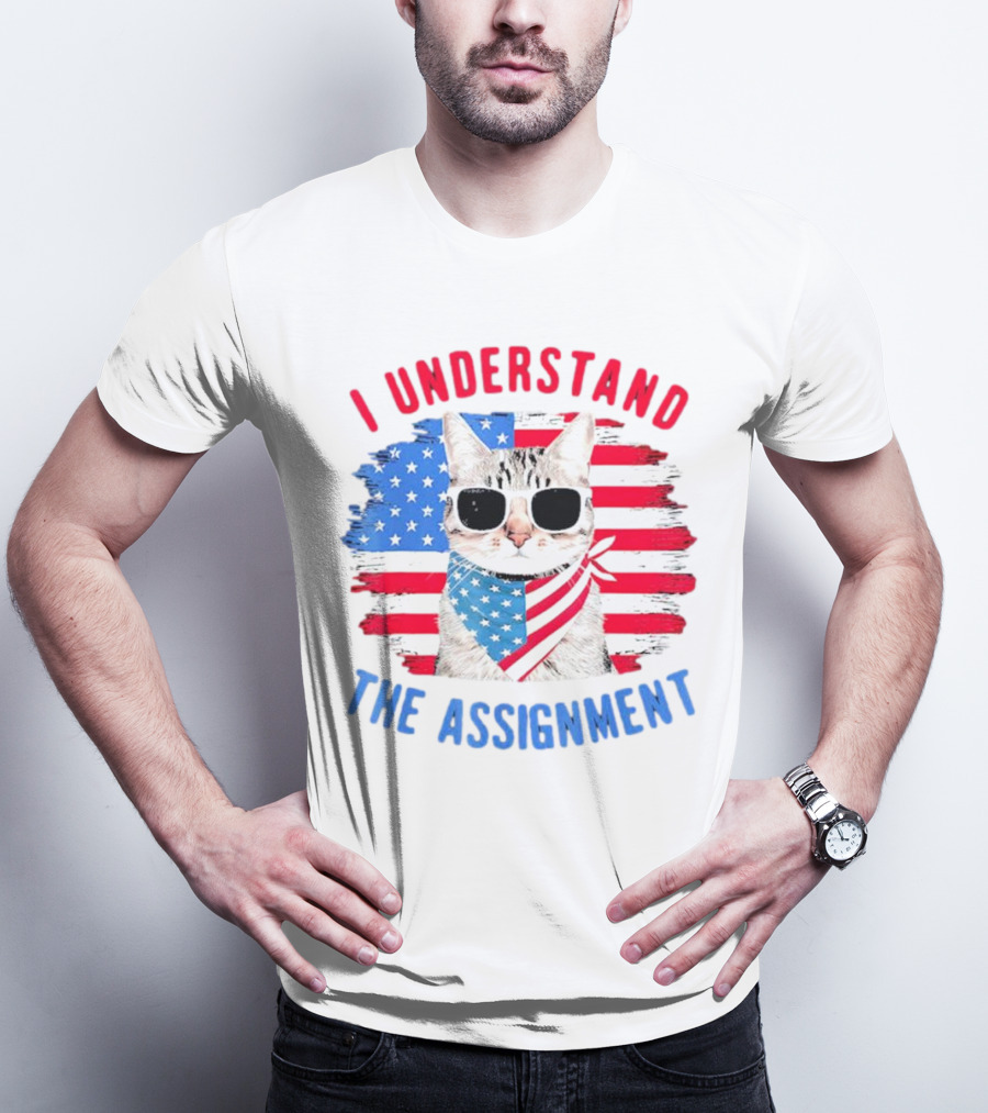 I Understand The Assignment Cat With American Flag Sunglasses And Scarf T-Shirt