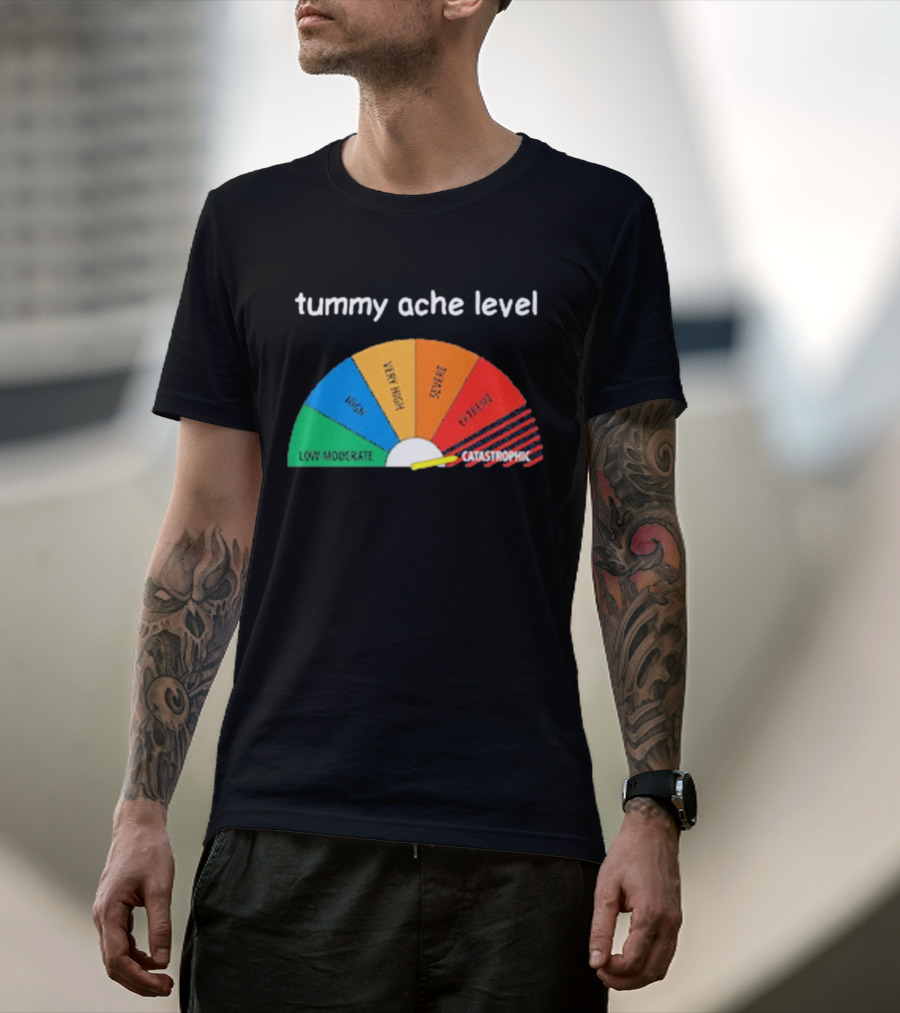 Tummy Ache Level Catastrophic Scale Low Moderate Severe Cringe T-Shirt