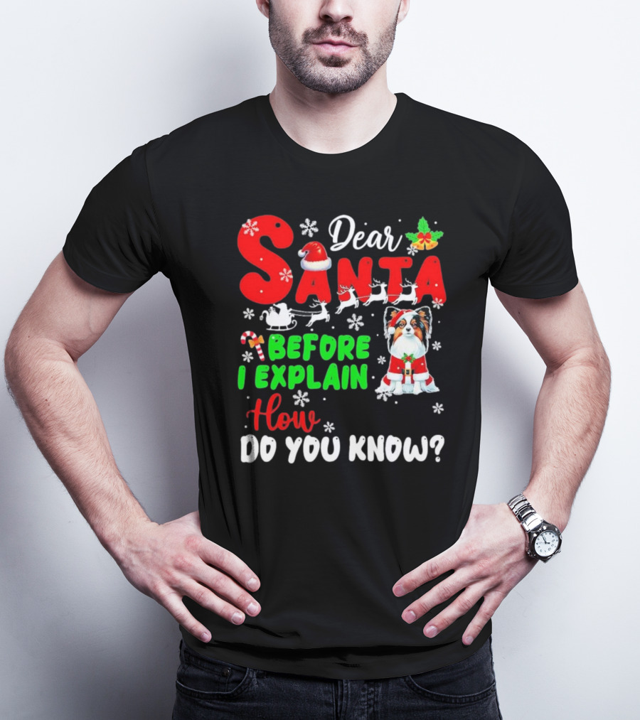 Dear Santa Before I Explain How Do You Know Santa Hat Reindeer Dog Xmas T-Shirt