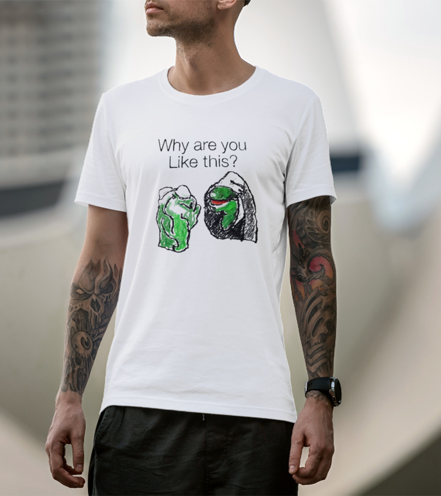 Why Are You Like This Meme Frog Hoodie Inner Self Conflict T-Shirt