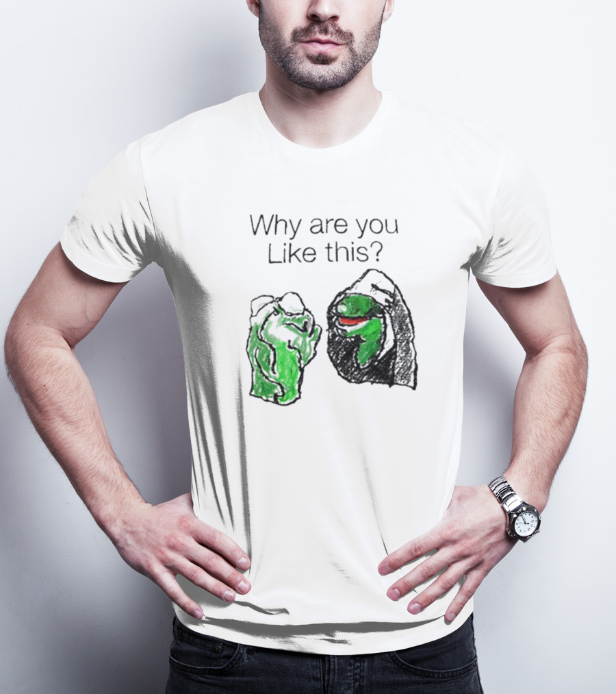 Why Are You Like This Meme Frog Hoodie Inner Self Conflict T-Shirt