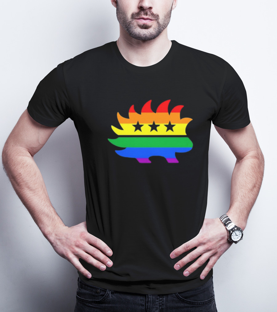 Dr. Simon Goddek Libertarian Porcupine Rainbow Flag Stars T-Shirt
