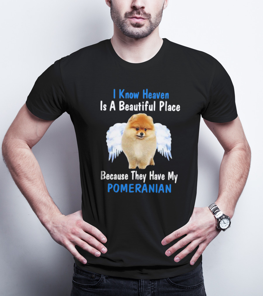 I Know Heaven Is A Beautiful Place Because They Have My Pomeranian Angel Wings T-Shirt