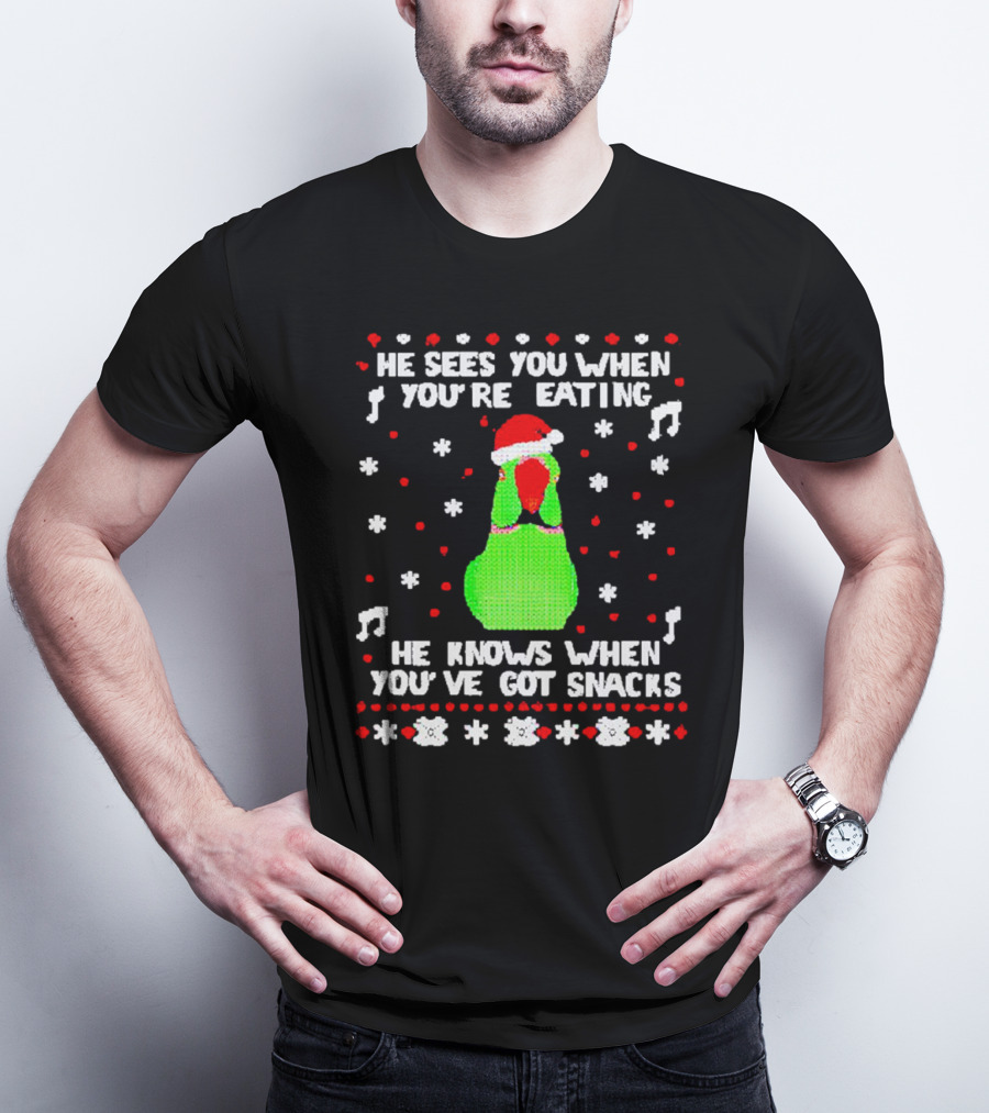 Parrot Ugly Christmas He Sees You When You’re Eating He Knows When You’ve Got Snacks T-Shirt